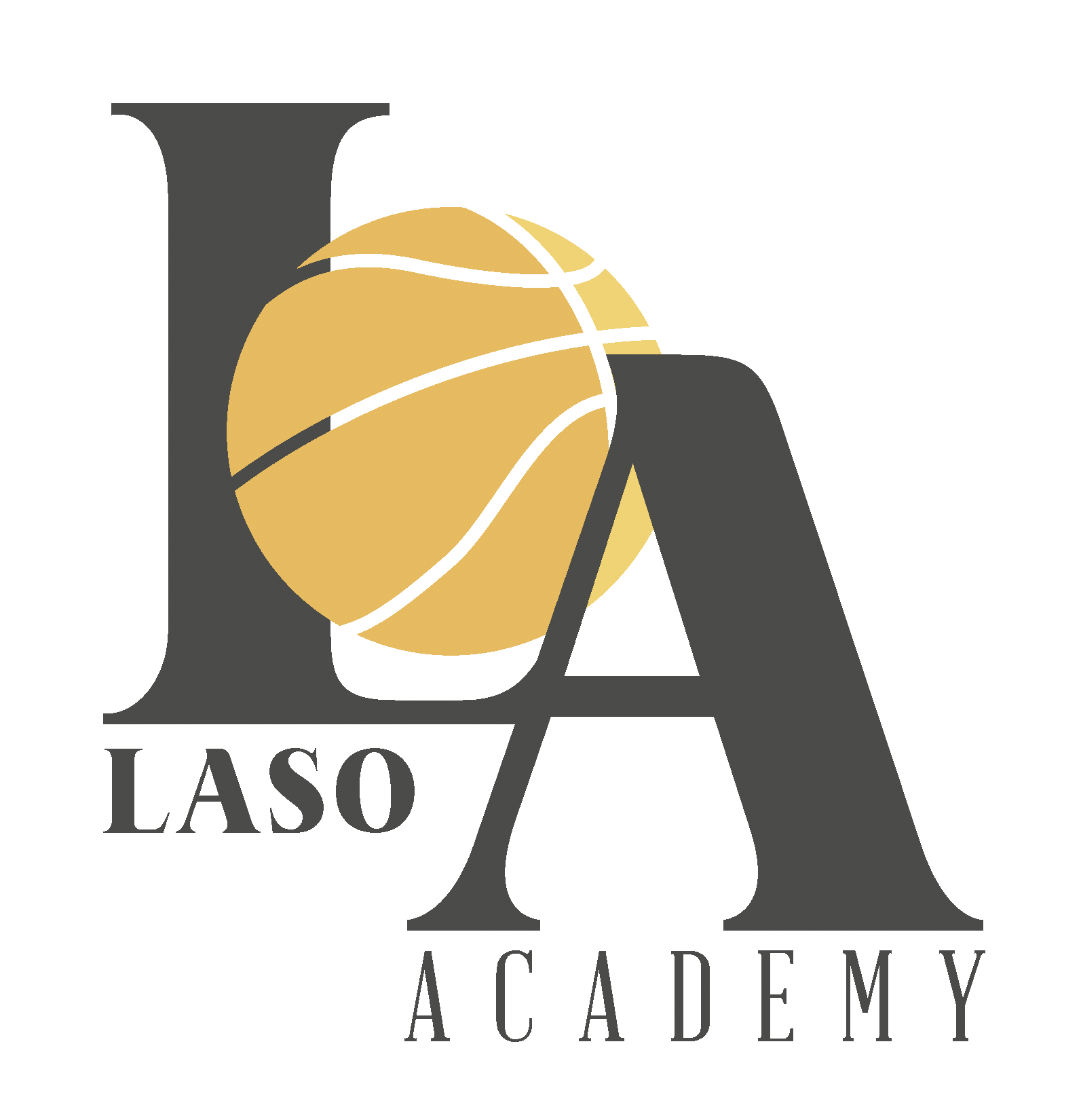 Pablo Laso Academy