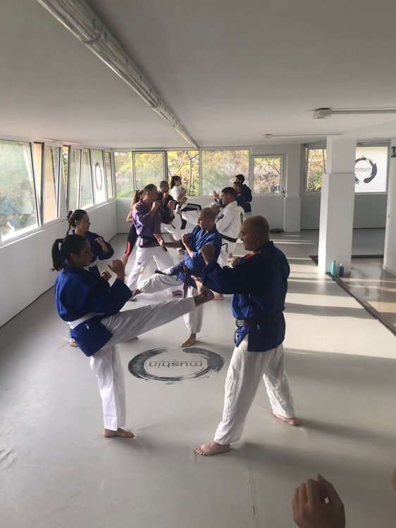 MUSHIN TEAM | Web oficial